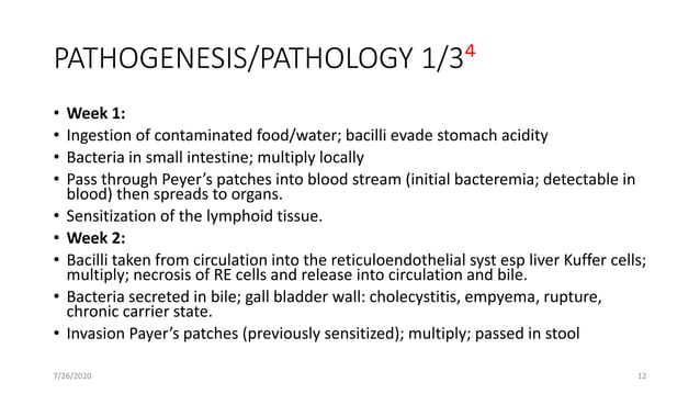 Typhoid intestinal perforation | PPTX | Infectious Diseases | Diseases ...