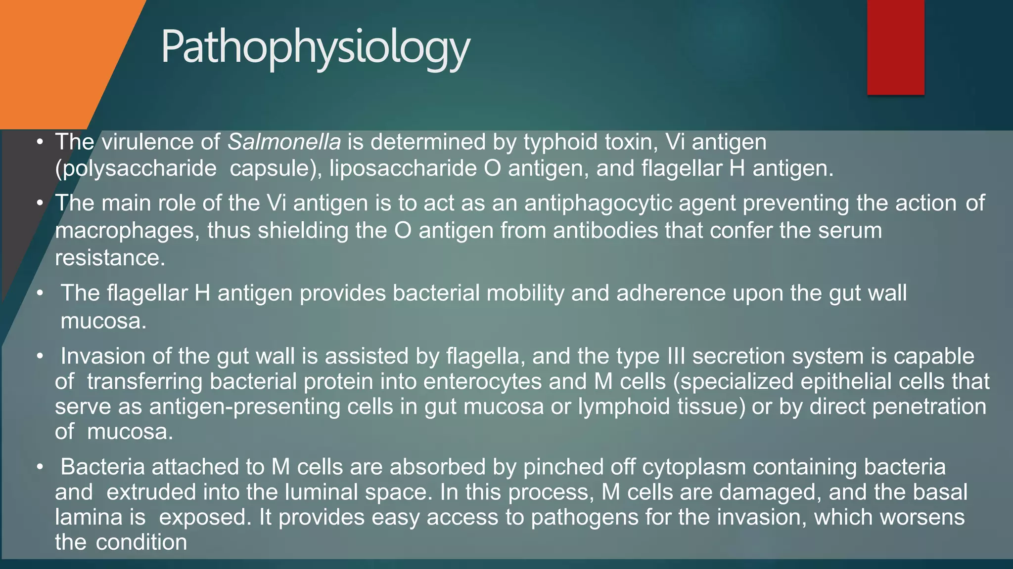 Typhoid Perforation | PPTX