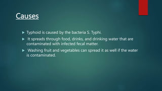 Typhoid ppt.pptx