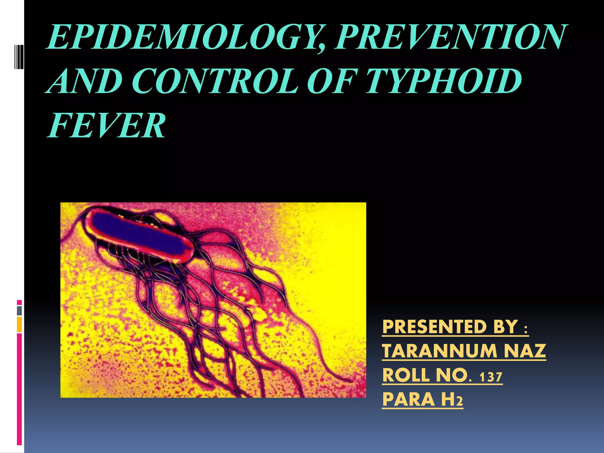 Typhoid | PPTX