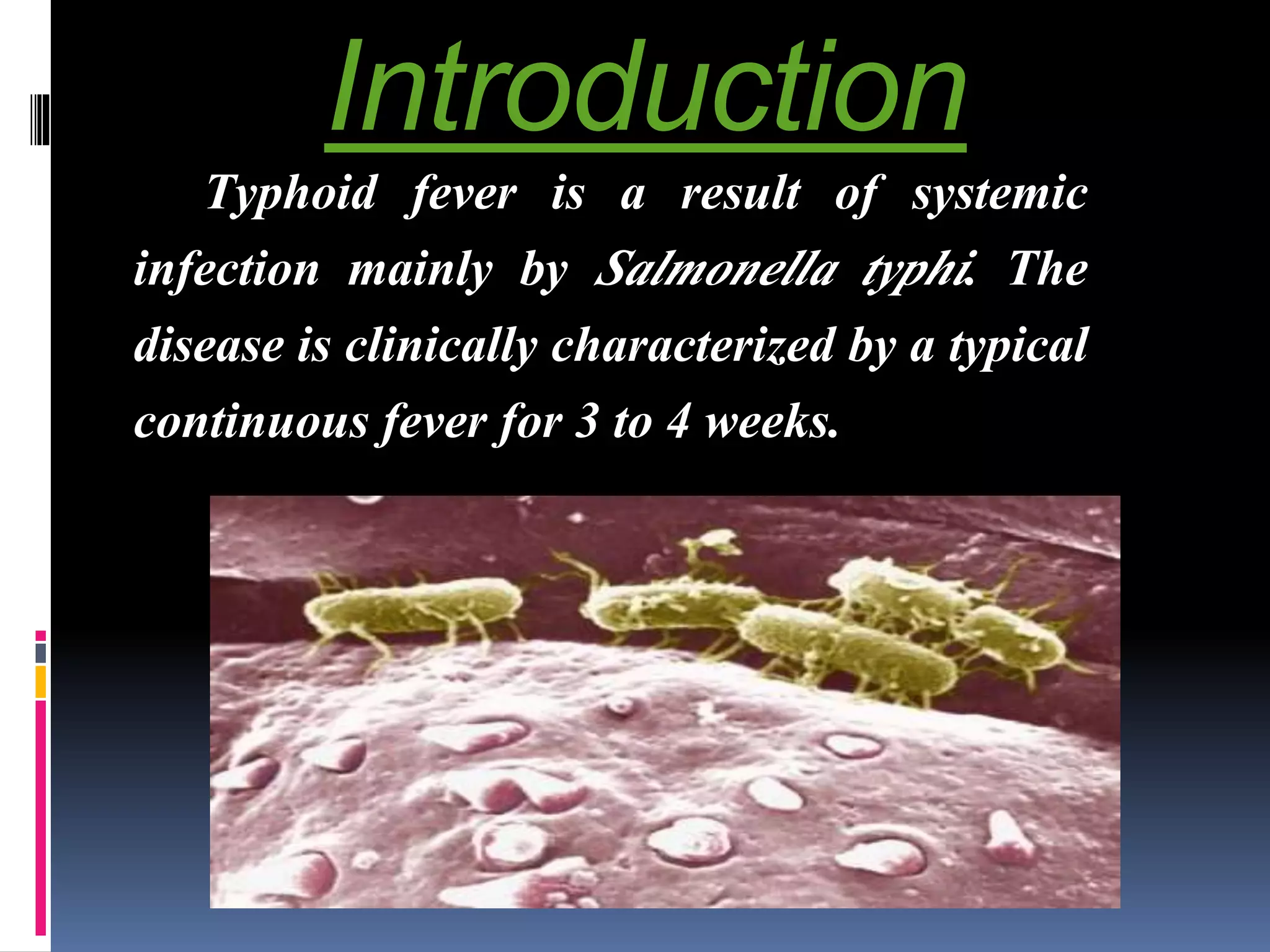 Typhoid | PPTX