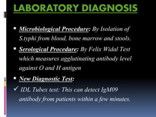 Typhoid | PPTX