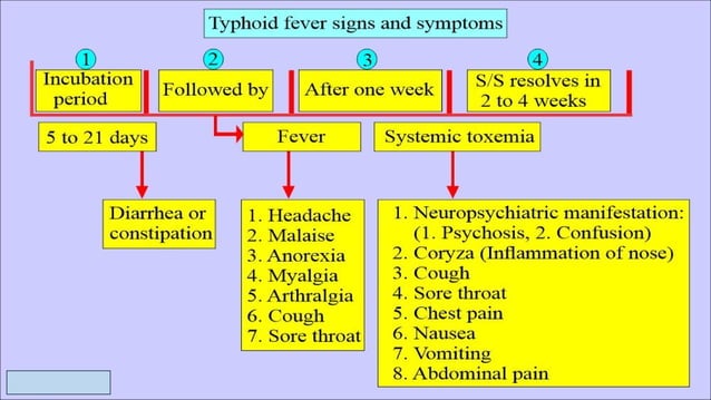 Typhoid ulcers, Enteric fever, all paramedical, B.Sc. Nursing ...