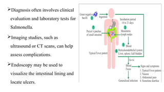 Typhoid ulcers, Enteric fever, all paramedical, B.Sc. Nursing ...