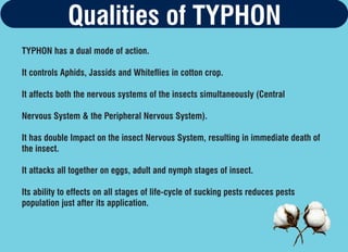 Typhon | PDF
