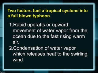 TYPHOON GRADE 8 | PPTX