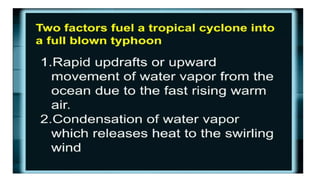 TYPHOON - Typhoon Formation, How typhoon are formed, Where does typhoon ...