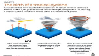 TYPHOON - Typhoon Formation, How typhoon are formed, Where does typhoon ...