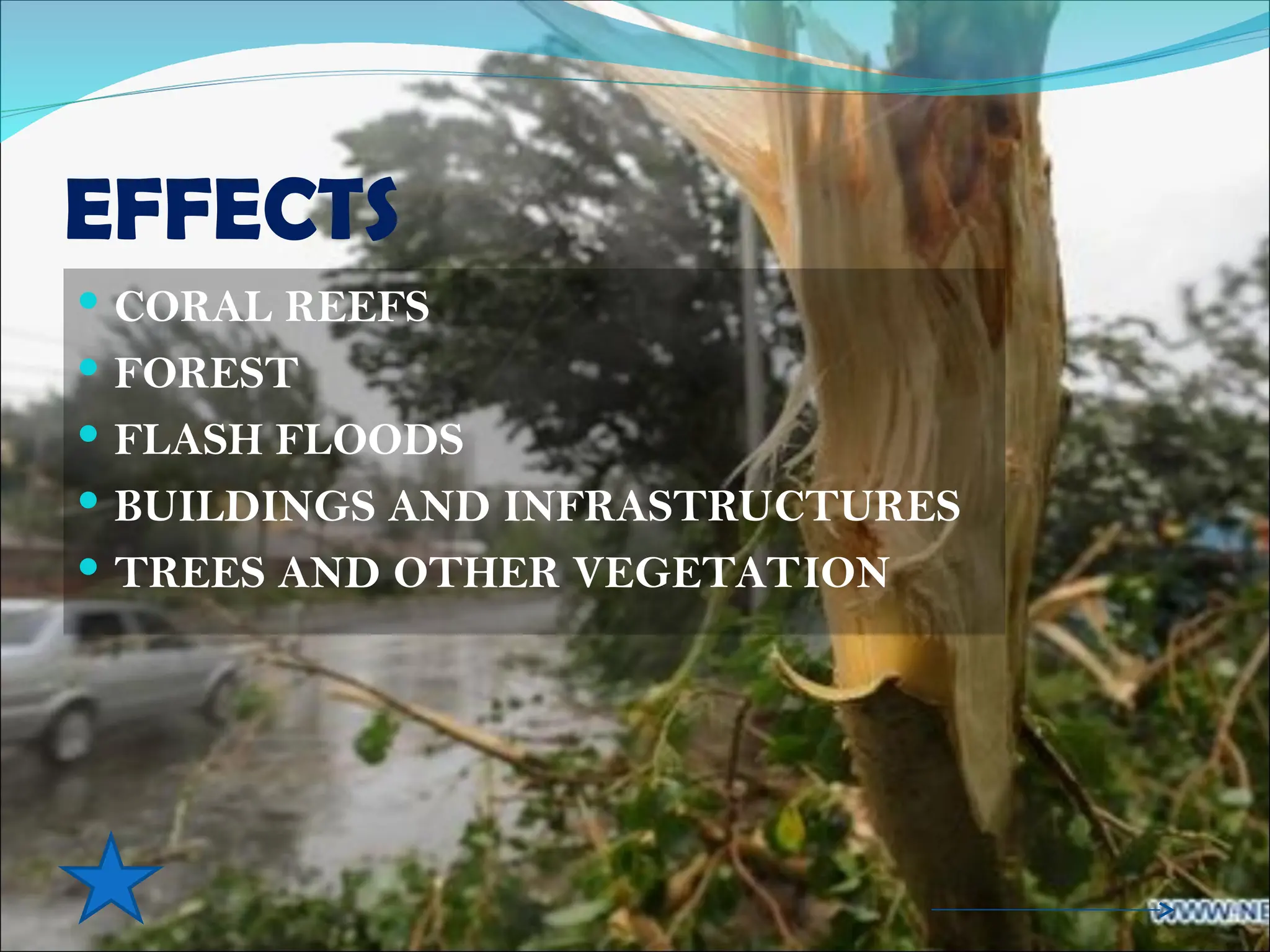 Typhoon 3.ppt Science 7 Grade 7 Dep Ed Iriga | PPT