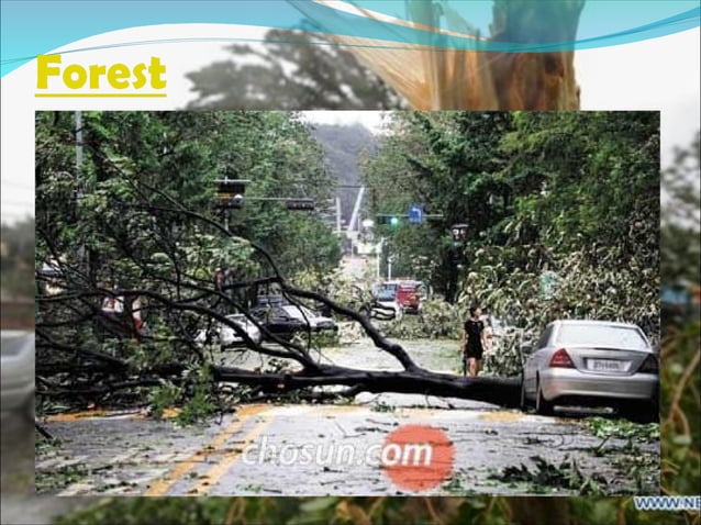 Typhoon 3.ppt Science 7 Grade 7 Dep Ed Iriga | PPT