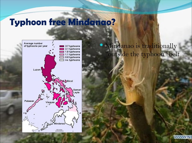 Typhoon 3.ppt Science 7 Grade 7 Dep Ed Iriga | PPT