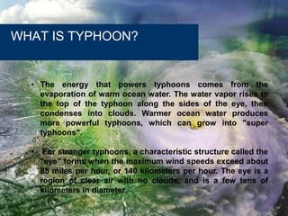 Typhoon Final Presentation.pptx