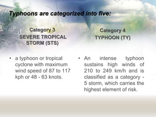 Typhoon Final Presentation.pptx