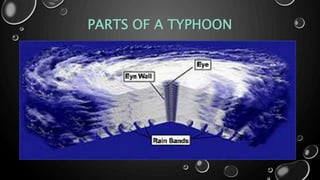 Typhoons - Grade 8 | PPTX