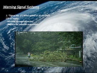 Typhoon warning-SIGNALS INFORMATION Office.pptx