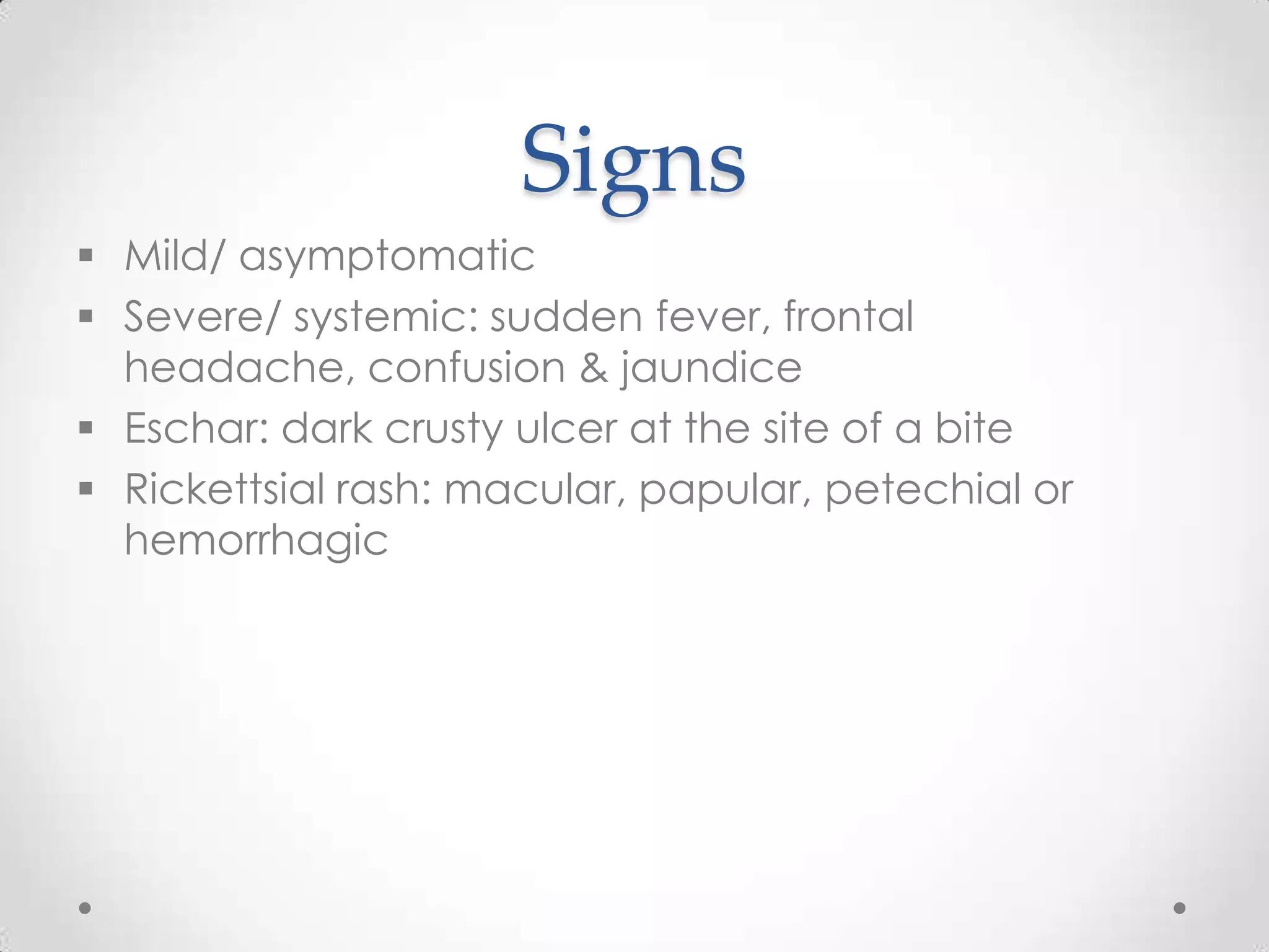 Typhus | PPTX