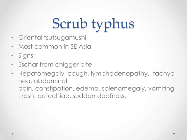 Typhus | PPTX | Blood Disorders | Diseases and Conditions