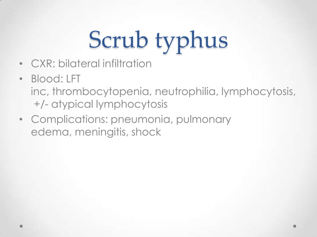 Typhus | PPTX | Blood Disorders | Diseases and Conditions
