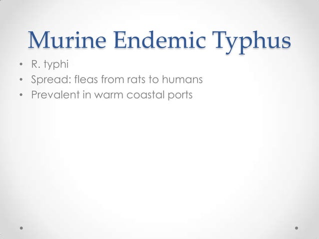 Typhus | PPTX | Blood Disorders | Diseases and Conditions