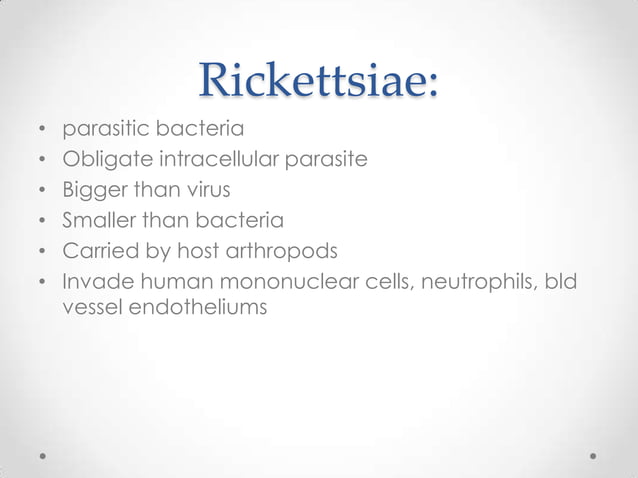 Typhus | PPTX | Blood Disorders | Diseases and Conditions