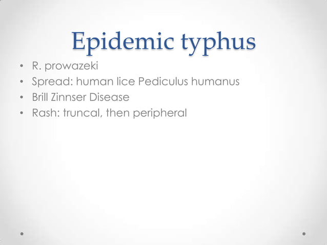 Typhus | PPTX | Blood Disorders | Diseases and Conditions