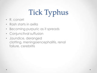Typhus | PPTX