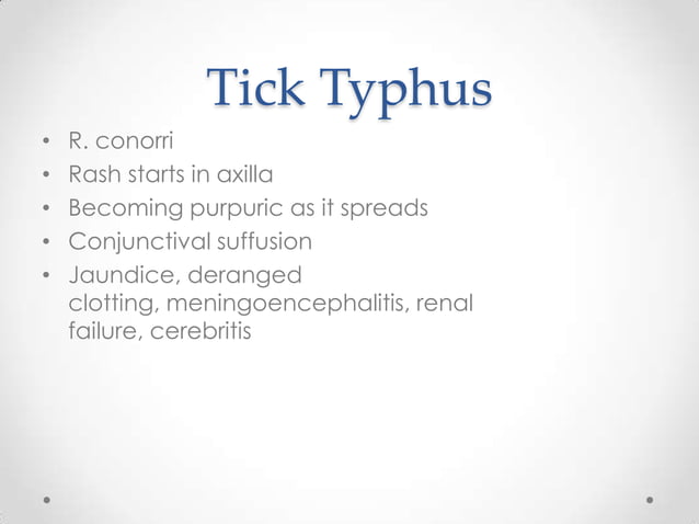 Typhus | PPTX | Blood Disorders | Diseases and Conditions