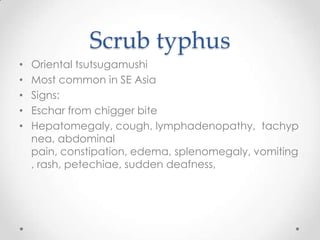 Typhus: the Rickettsial Disease | PPTX