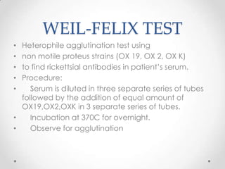 Typhus: the Rickettsial Disease | PPTX