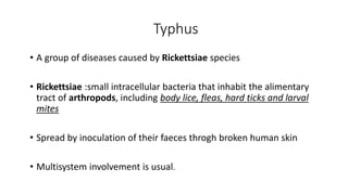 Typhus and its management | PPTX