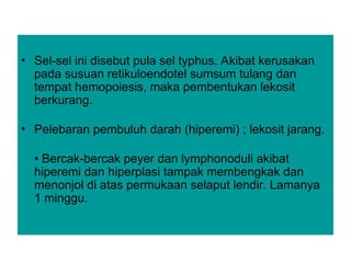 Typhus_Abdominalis_adalah penyakit infeksi.ppt