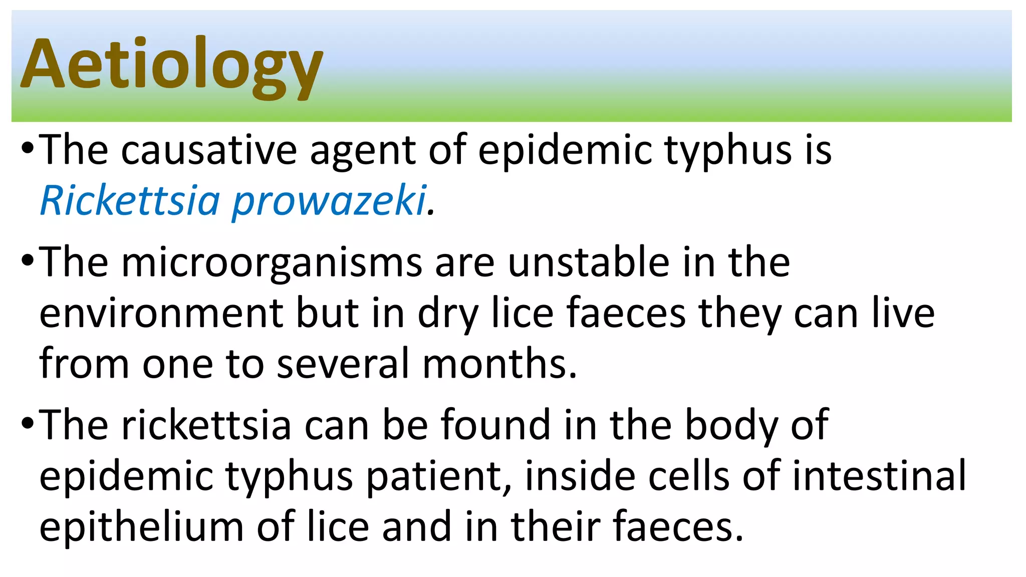 Typhus Fever by Dr. Sookun Rajeev Kumar | PPTX