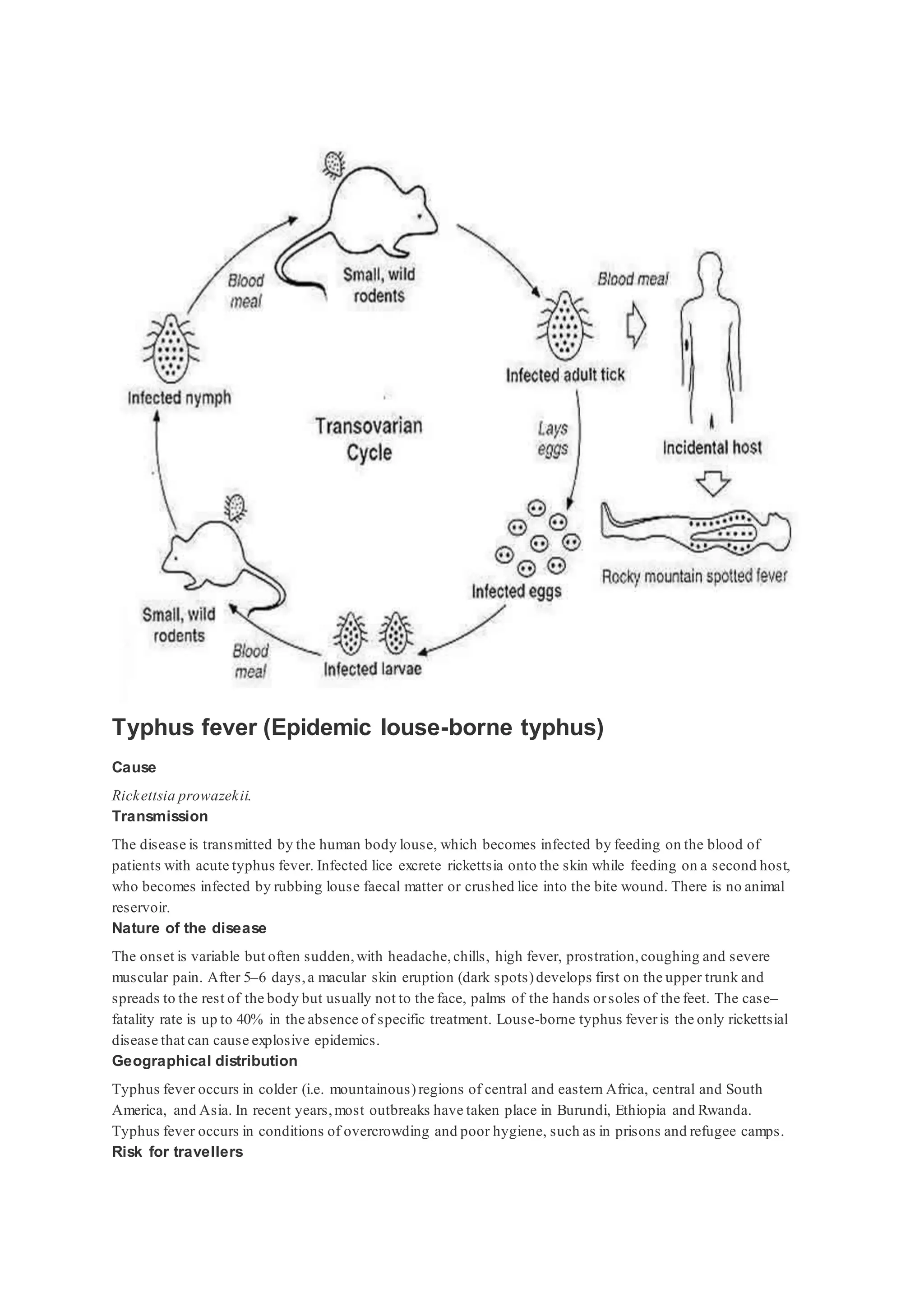Typhus fever | DOCX | Infectious Diseases | Diseases and Conditions