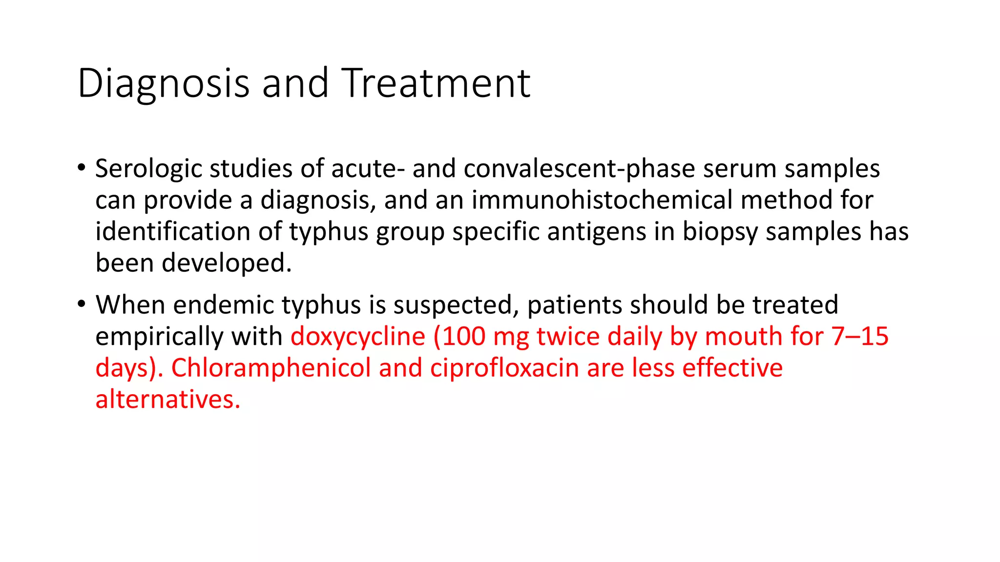 TYPHUS FEVER.pptx