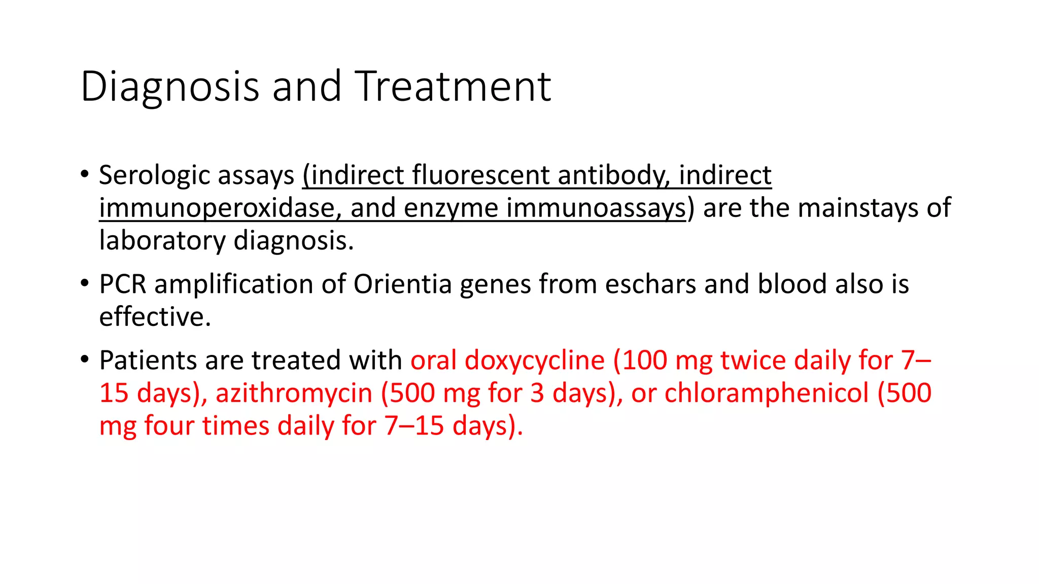 TYPHUS FEVER.pptx