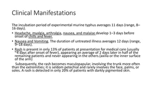 TYPHUS FEVER.pptx