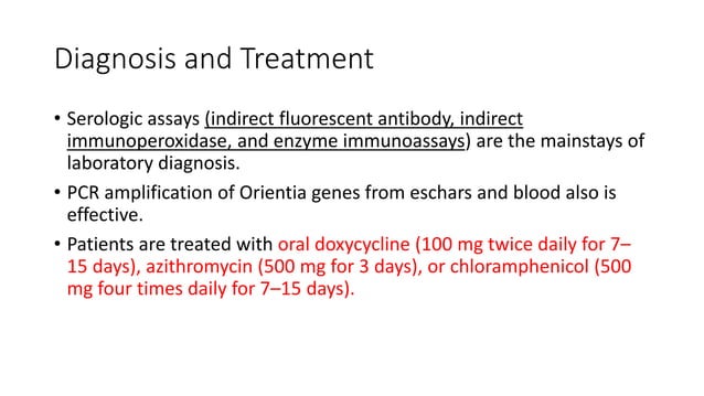 TYPHUS FEVER.pptx | Infectious Diseases | Diseases and Conditions