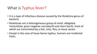 TYPHUS FEVER.pptx | Infectious Diseases | Diseases and Conditions