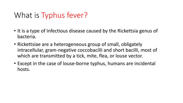 TYPHUS FEVER.pptx | Infectious Diseases | Diseases and Conditions