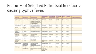 TYPHUS FEVER.pptx