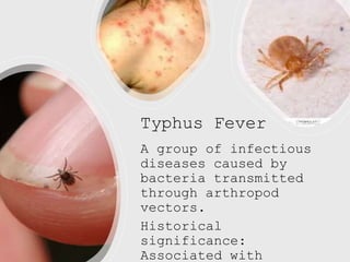 Typhus Fever and its epidemiology worldwide.pptx
