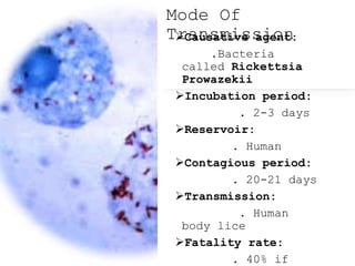 Typhus Fever and its epidemiology worldwide.pptx