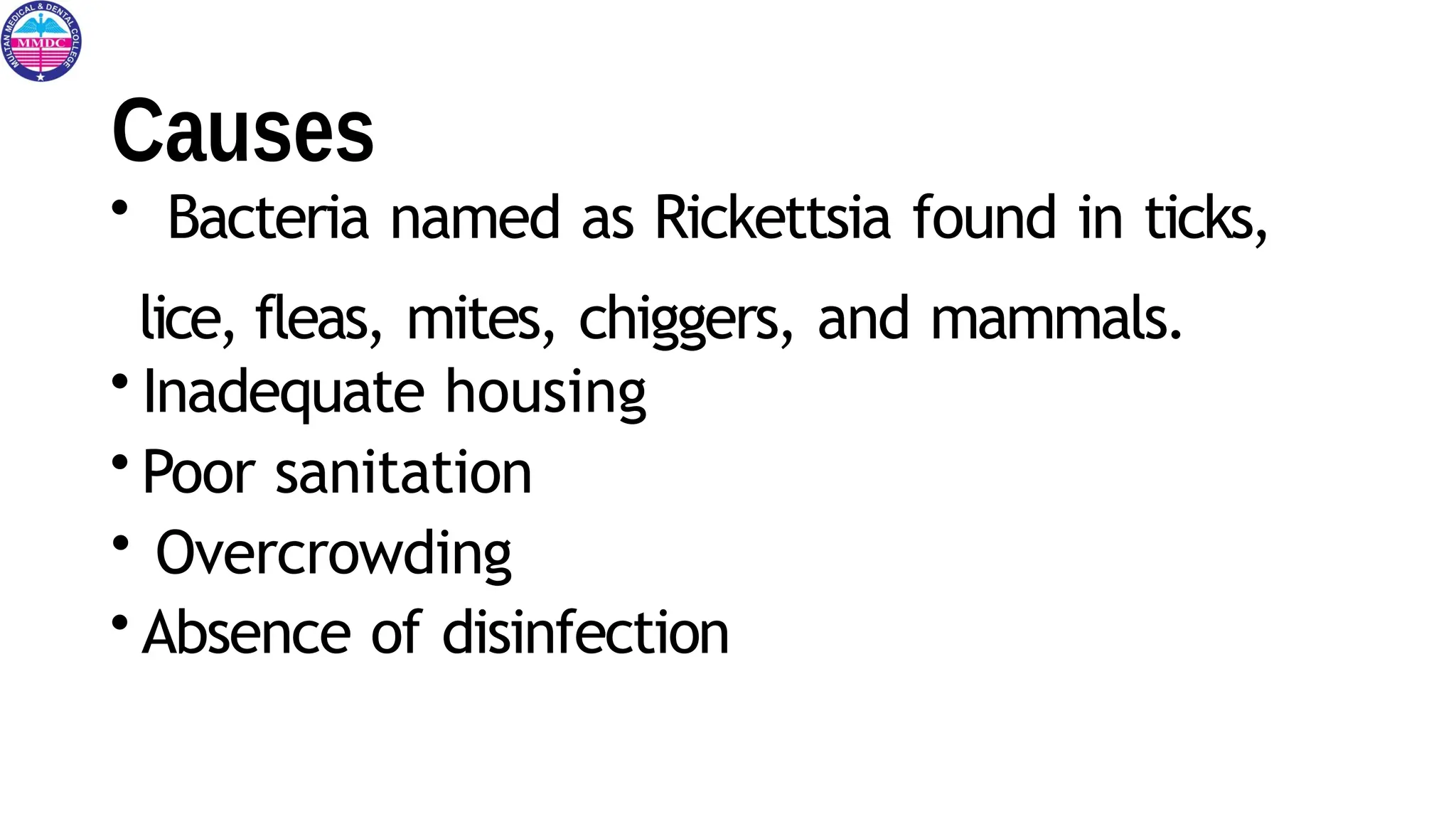 Typhus fever Submitted to Submitted by.pptx | Infectious Diseases ...