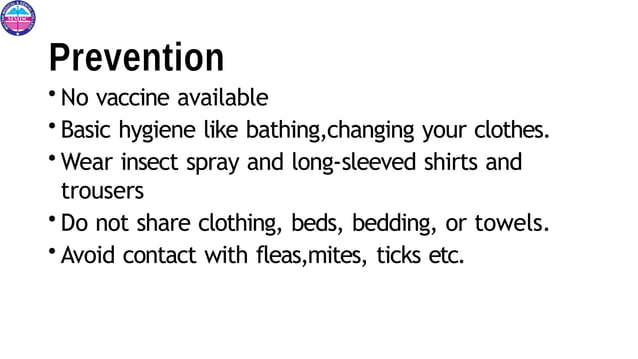 Typhus fever Submitted to Submitted by.pptx
