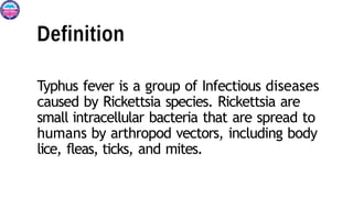 Typhus fever Submitted to Submitted by.pptx