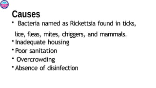 Typhus fever Submitted to Submitted by.pptx