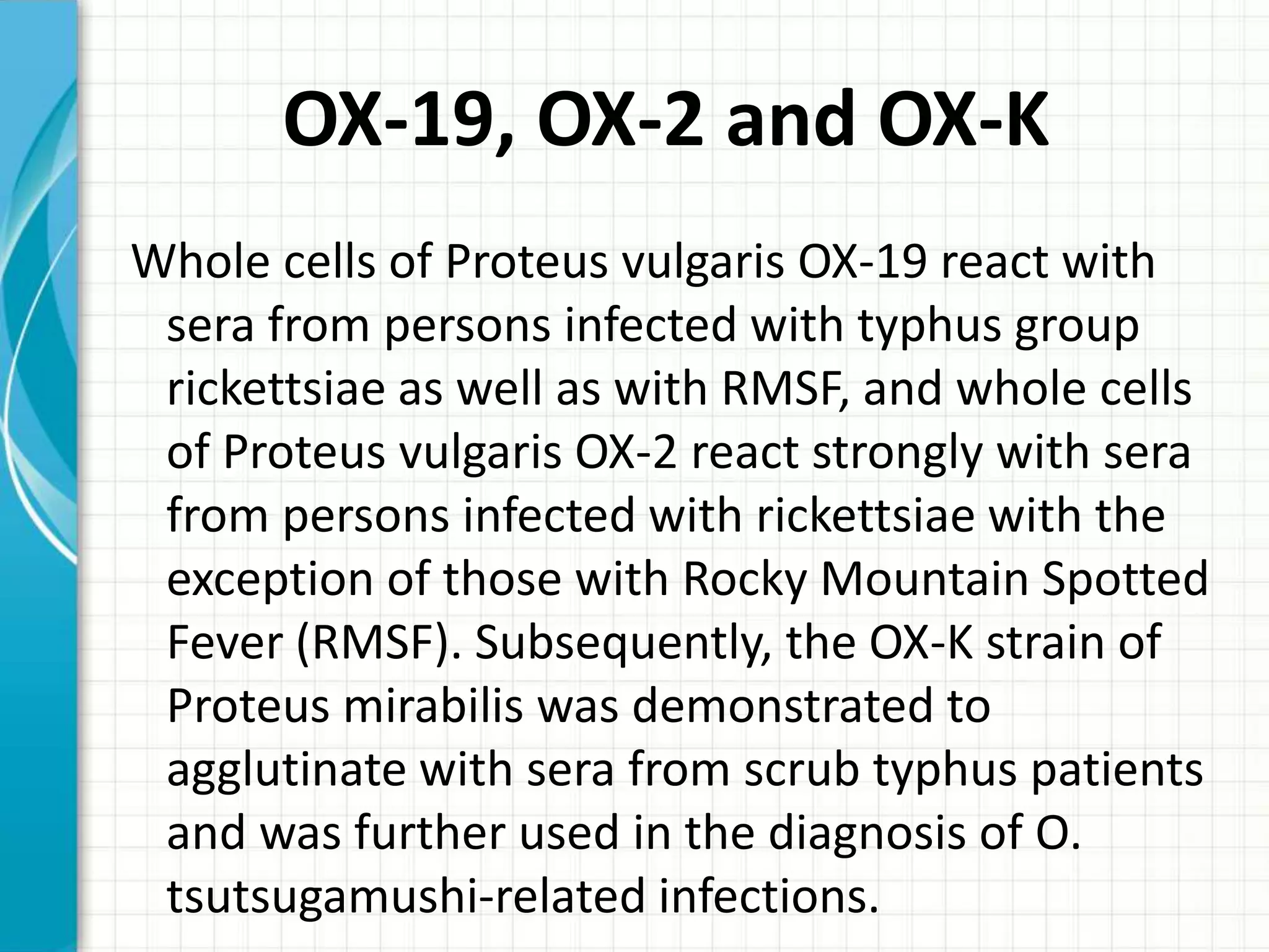 Typhus group diseases | PPTX