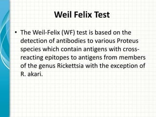 Typhus group diseases | PPTX