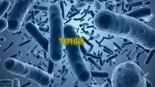 Typhus , yellow , dengue ..also deals with causative agents insects ...
