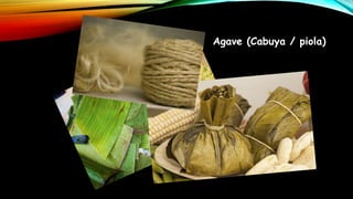 Typical boyacense tamal dish | PPTX
